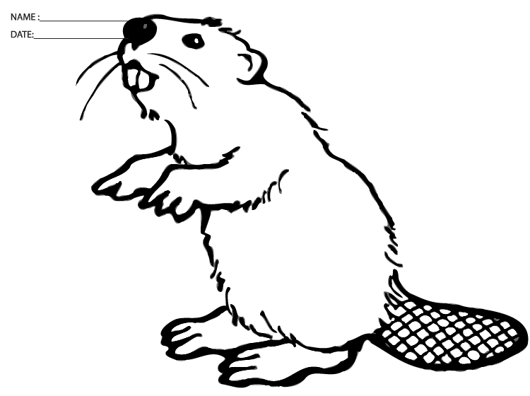 Beaver Coloring Page