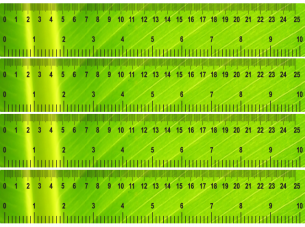 Green Shiny Printable Ruler