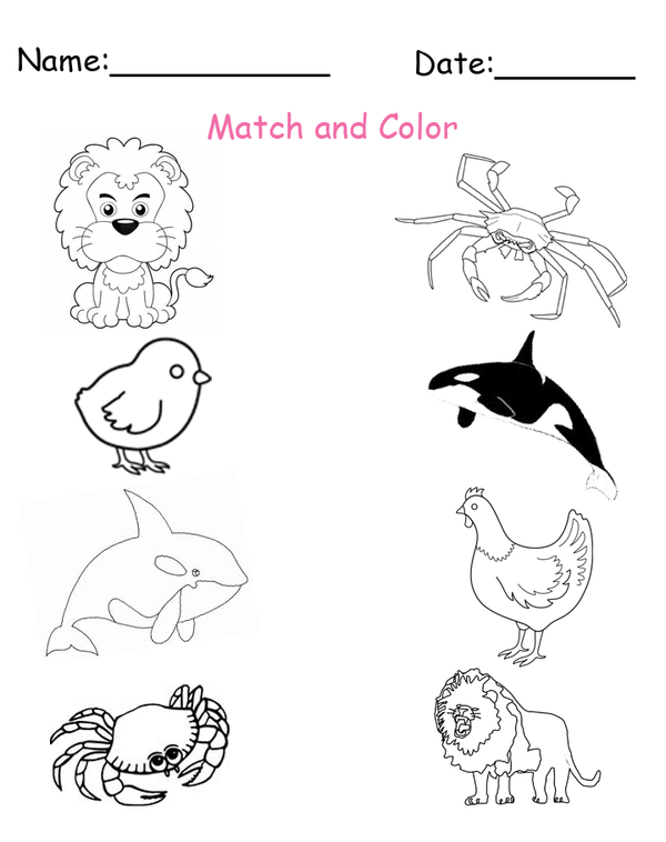Printable Match and Color Worksheets