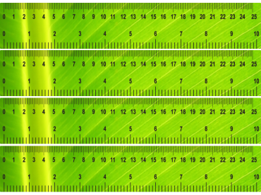 Ruler Template Actual Size